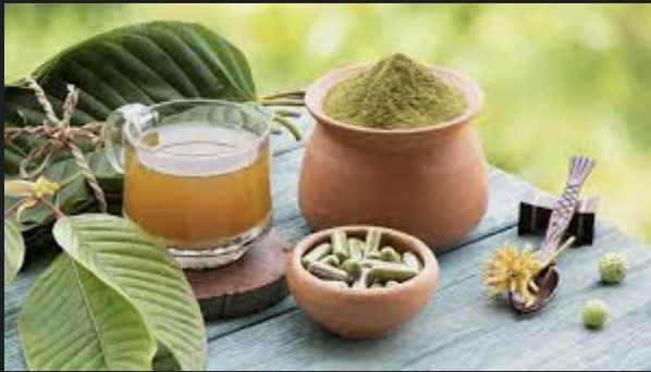 Kratom – Informative Guide To Read