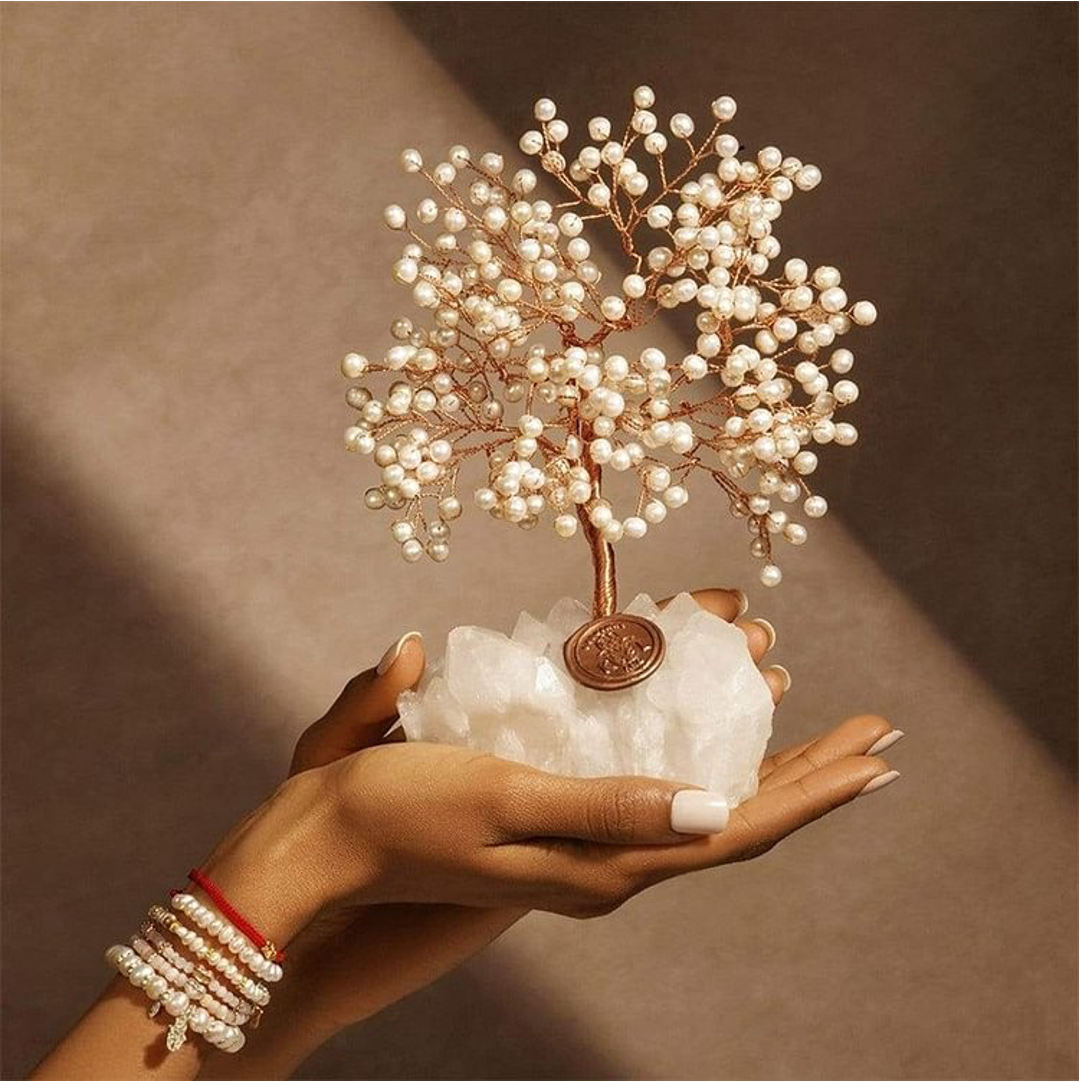 Can Feng Shui Trees Harmonize Home Energy?